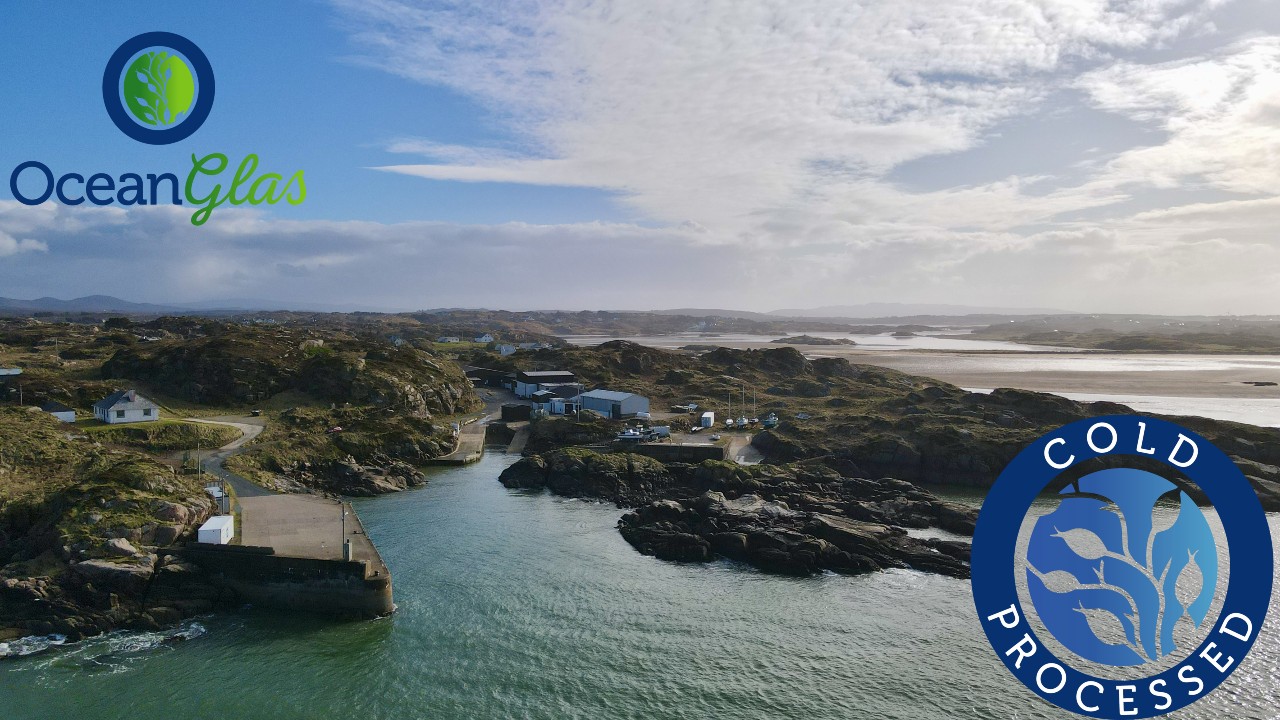 Home - Ocean Knowledge